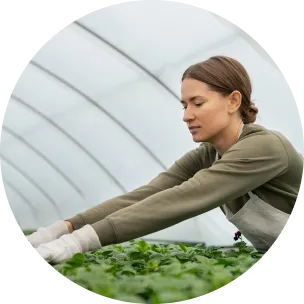 Gros.farm - система аналитики и автоматизации теплиц. Автоматизация ...